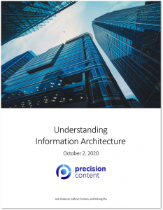 Understanding Information Architecture cover page image drop shadow | Precision ContentPrecision ...